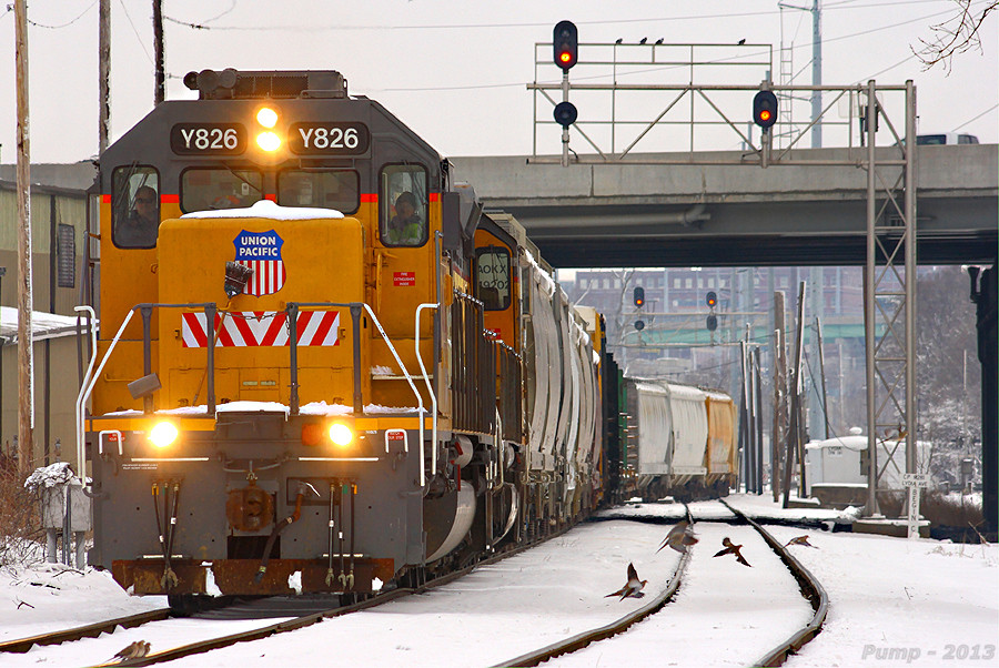 Eastbound UP Yard Job Train